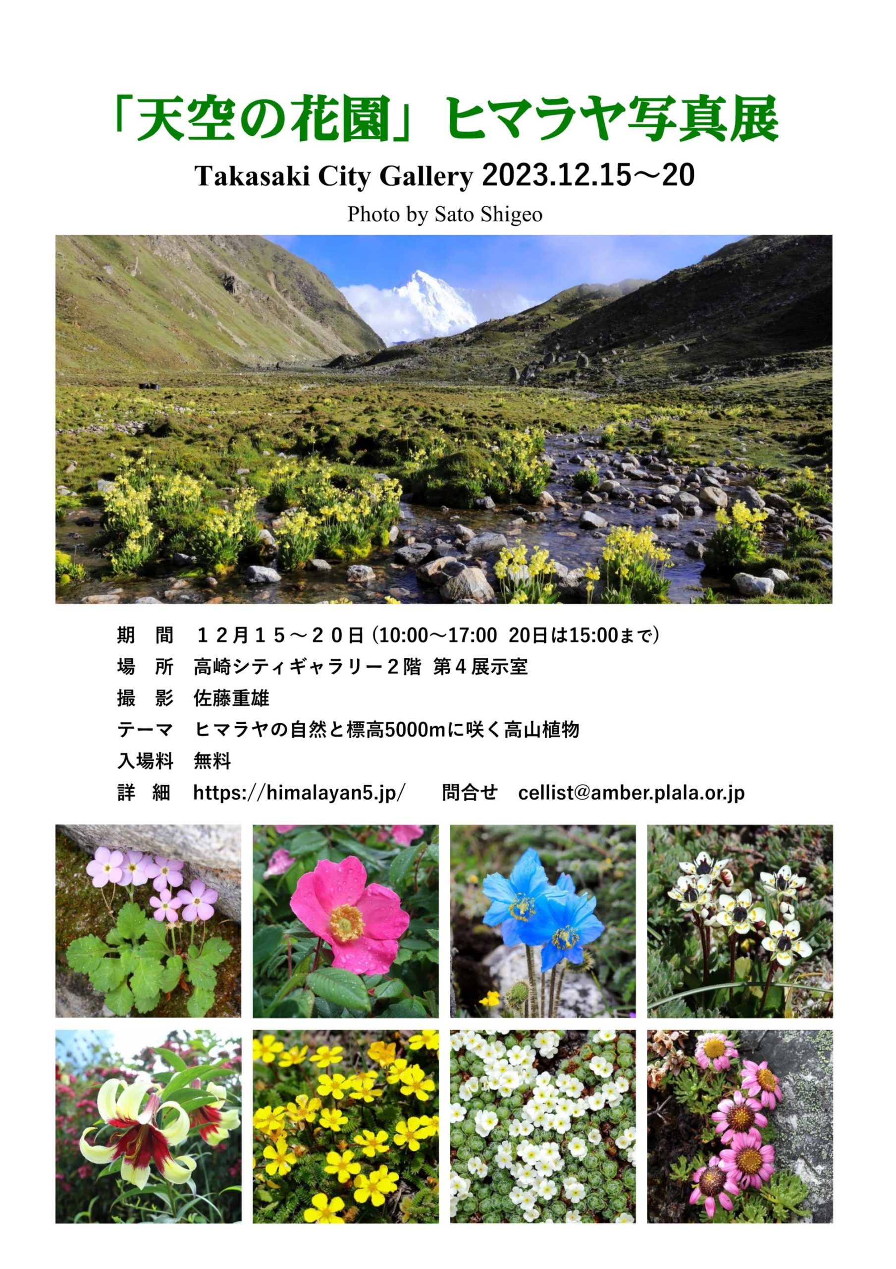 2023．シティーギャラリーリーフレット(表面)_1 | Himalayan 5 Windows